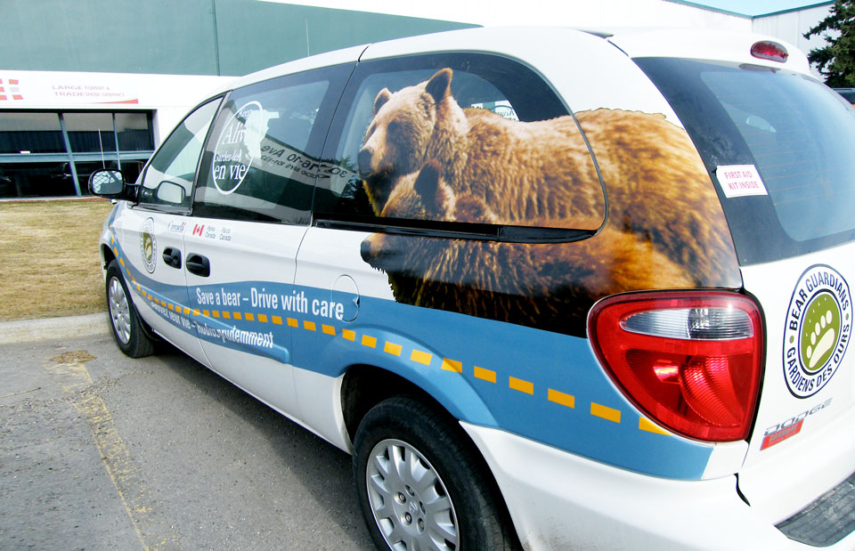 Fleet Graphics - Anvy Digital