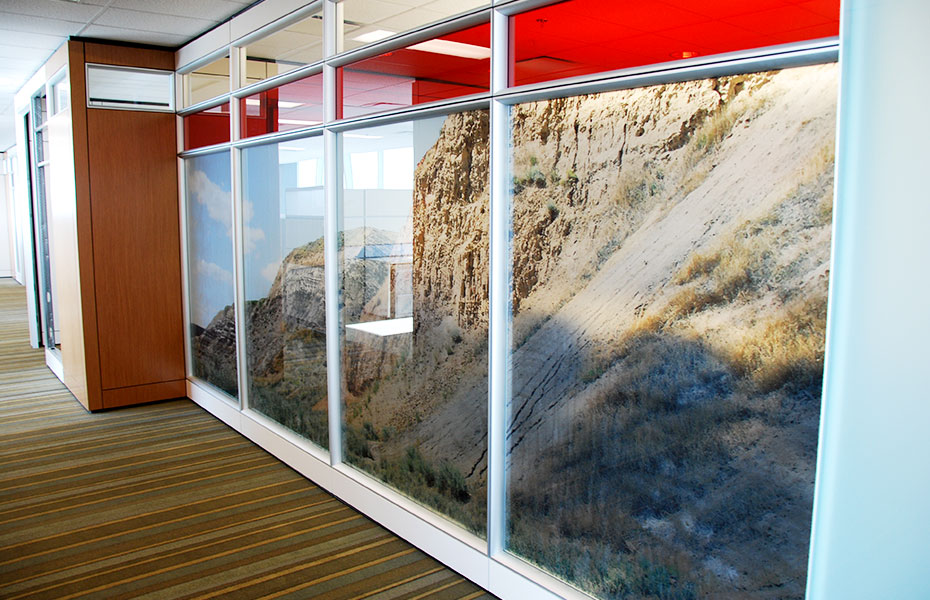 Window Decals | Anvy Digital